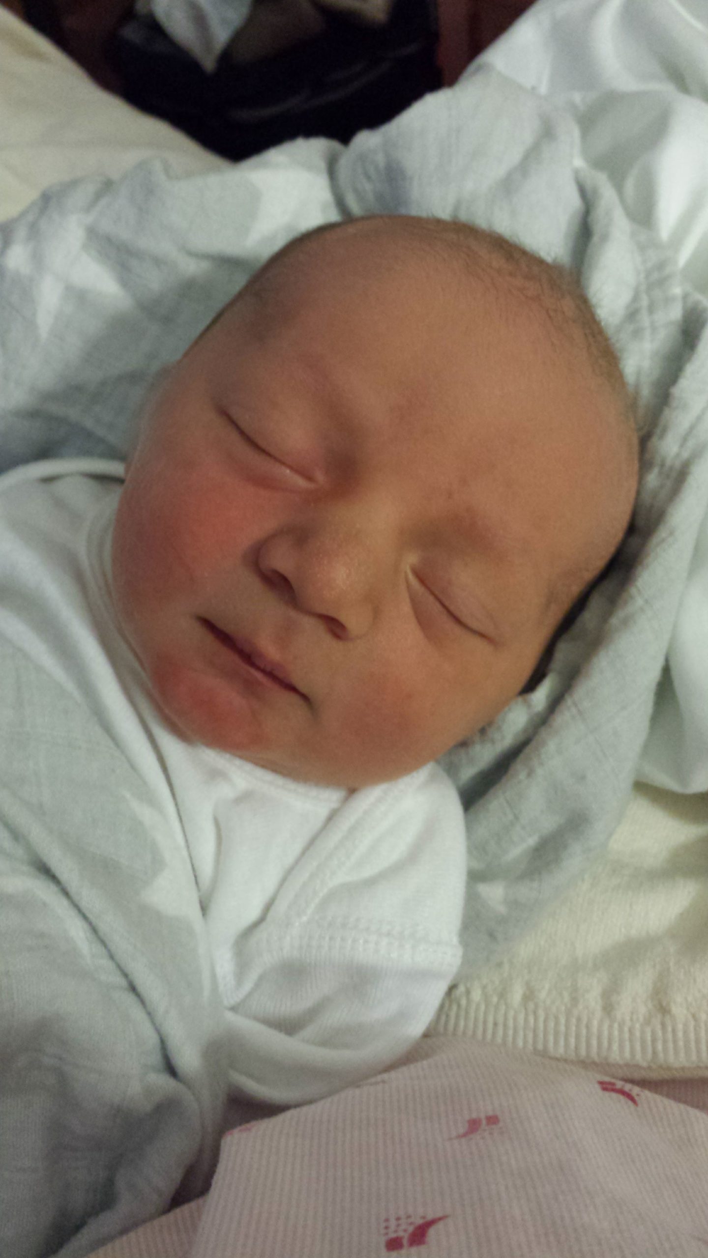 A New Addition to Dr. Homann's Family | Dr. Brian Homann