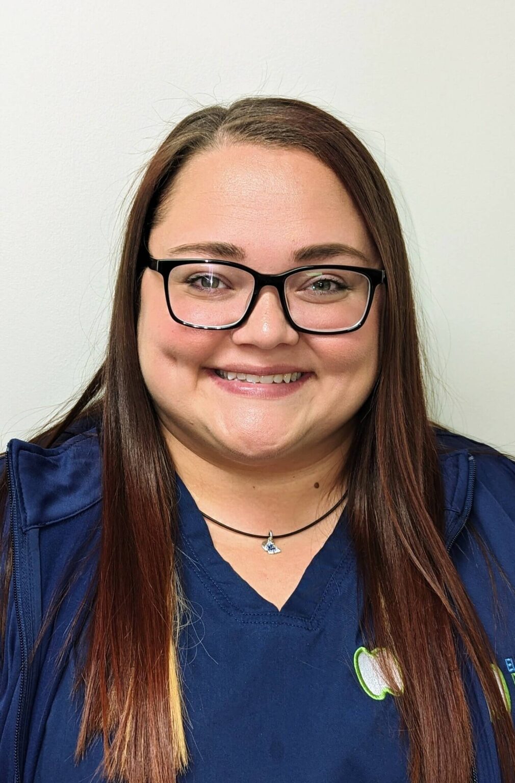 About Us - Dr. Brian Homann, DDS - Your Elk Grove Village Dentist